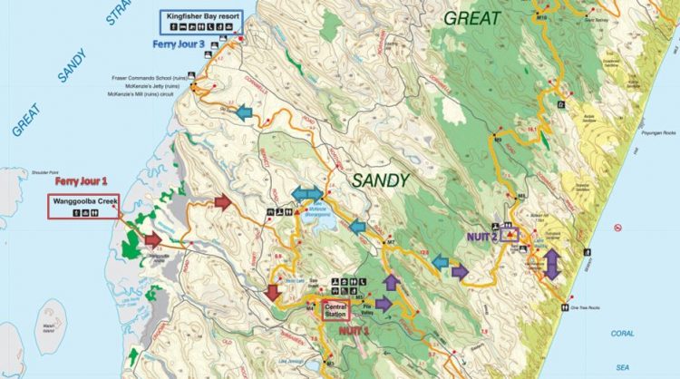 Fraser Island – Qui a peur du grand méchant dingo ? – Lively Latitudes